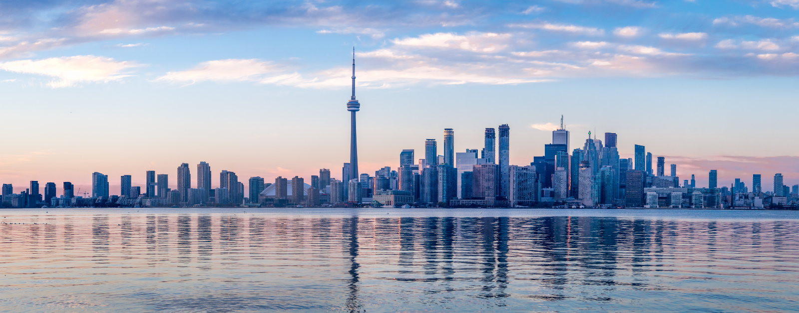 Associations - Insurance Portfolio